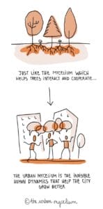 The urban mycelium - The Urban Mycelium