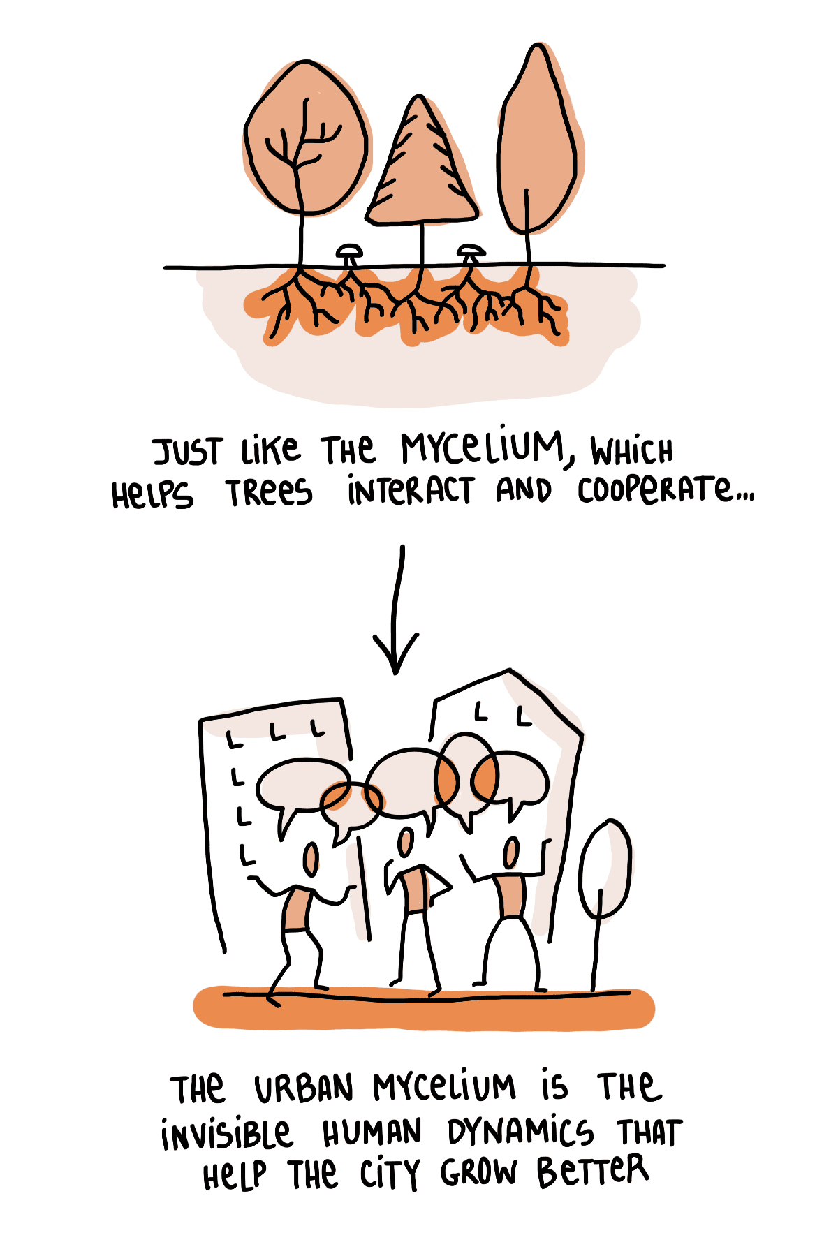 Home - The Urban Mycelium